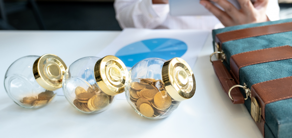 What are the Different Types of Corporate Fixed Deposit Schemes Available?