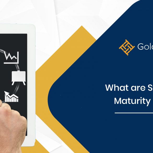 What are Senior and Subordinate Bonds?